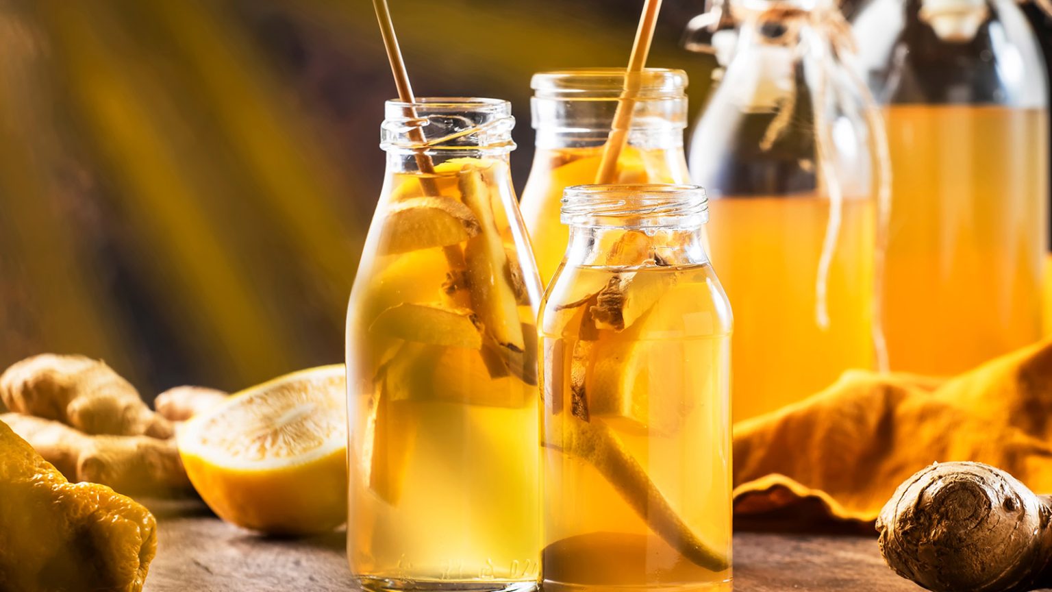 Exploring the Healing Benefits of Fermented Drinks for Your Digestive ...